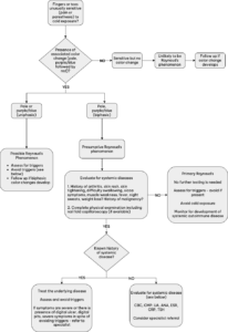 Raynaud's Phenomenon - Rheumatology for Primary Care