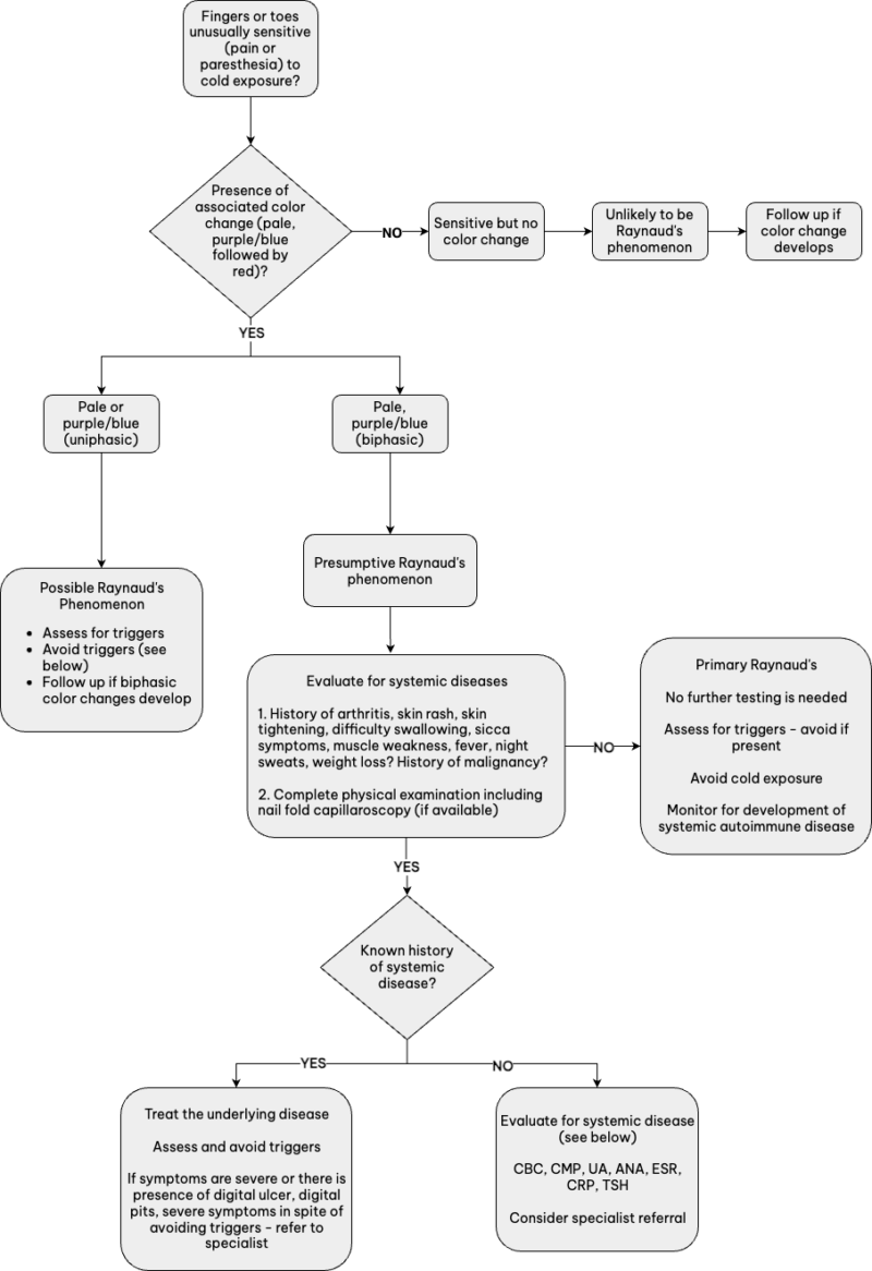 Raynaud's Phenomenon - Rheumatology for Primary Care